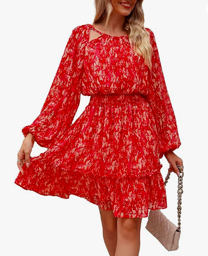 Erin Lichy's Red and Blue Printed Dress